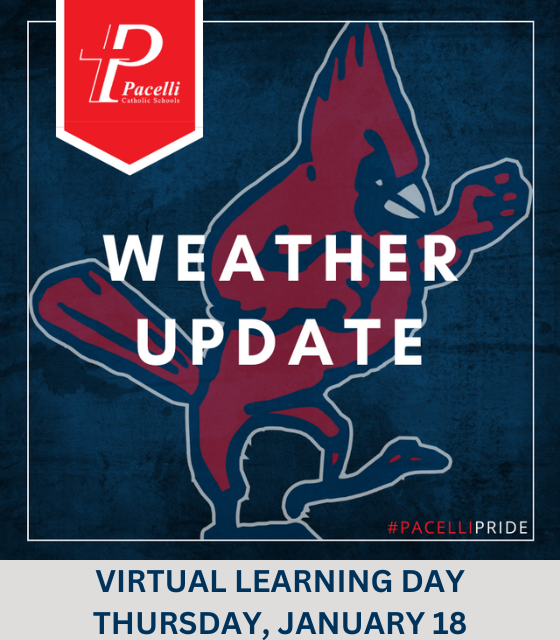 Pacelli Catholic Schools | Website Main Page (560 × 640 px) (3)